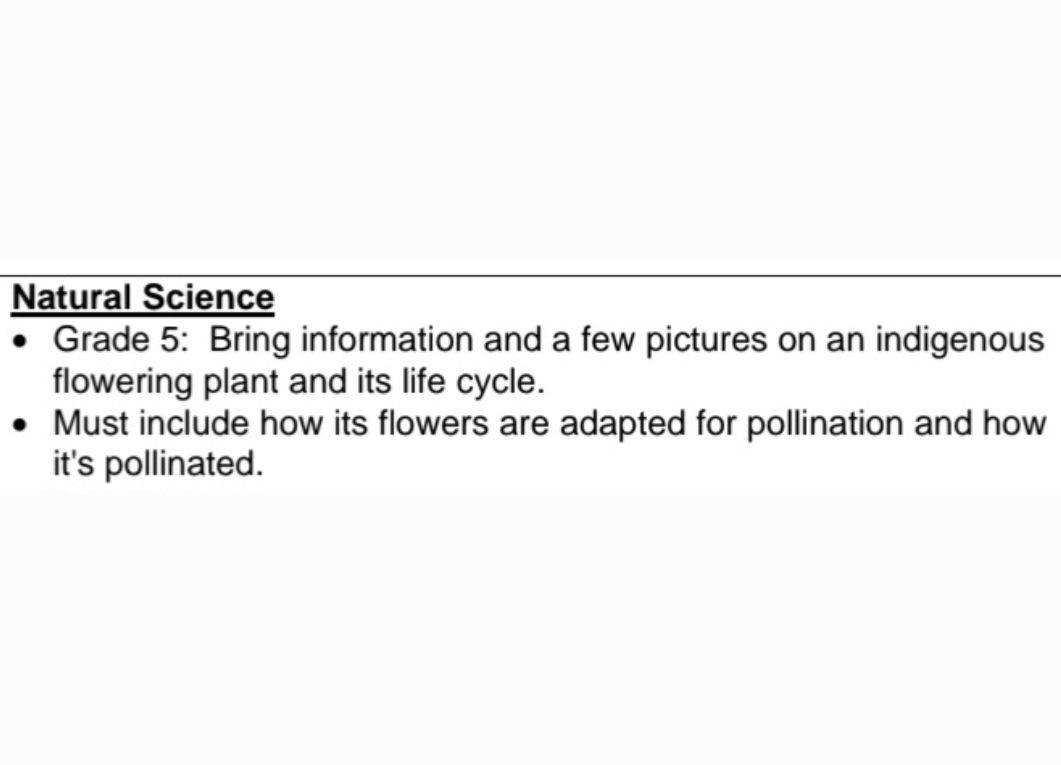 Natural Science - Grade 5: Bring | StudyX