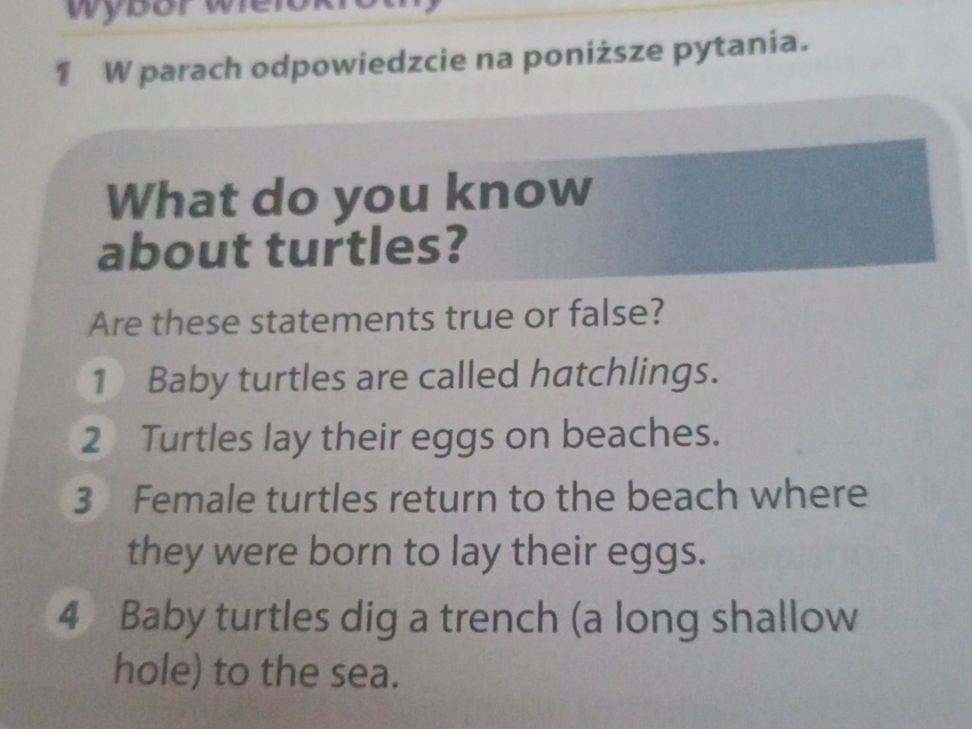 What do you know about turtles? Are these | StudyX