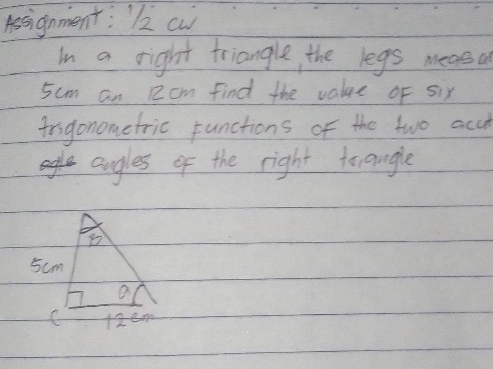 In a right triangle, the legs measure 5cm | StudyX