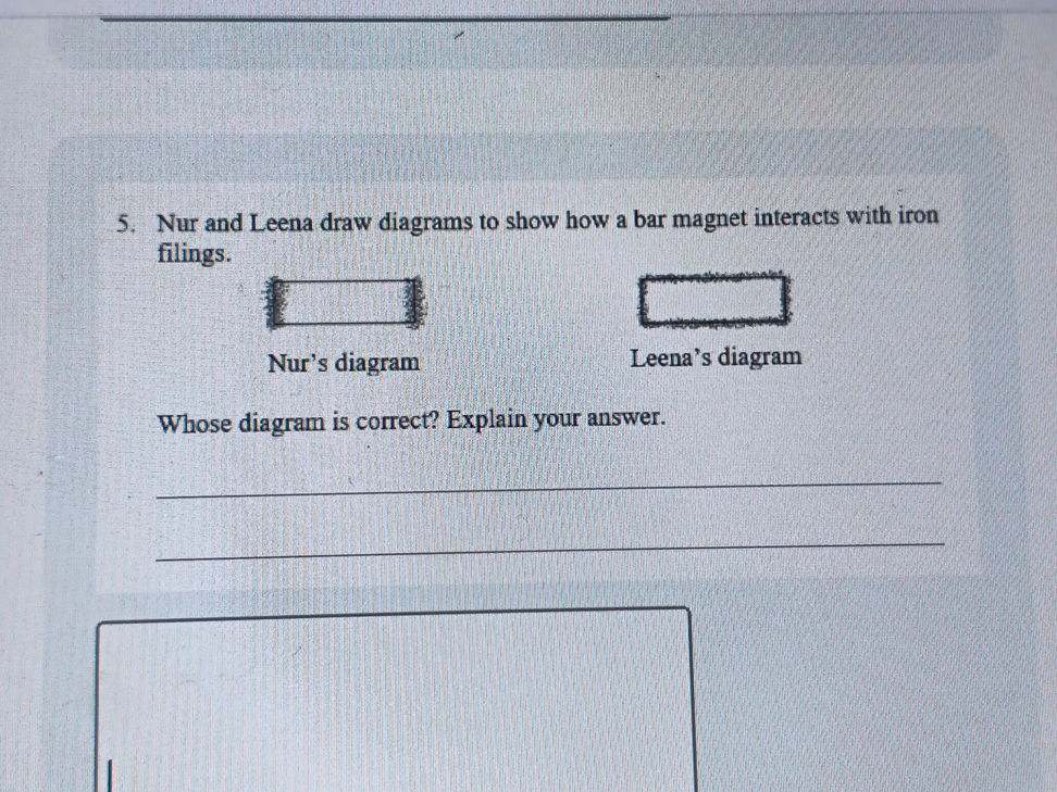 5. Nur and Leena draw diagrams to show how a | StudyX