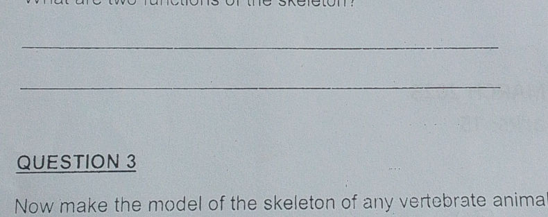 What are two functions of the skeleton? | StudyX