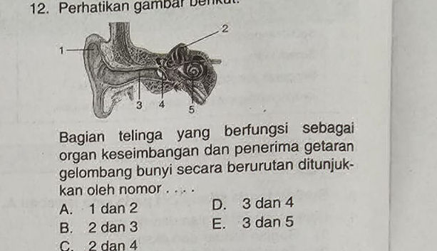 12. Perhatikan gambar berikut. Bagian | StudyX