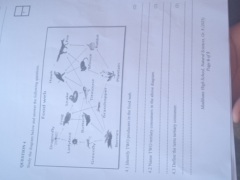 QUESTION 4 Study the diagram below and | StudyX