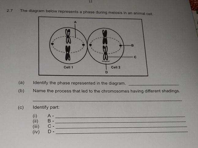 2.7 The diagram below represents a phase | StudyX