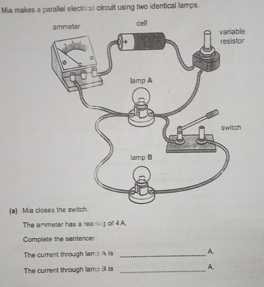 Mia makes a parallel electrical circuit | StudyX
