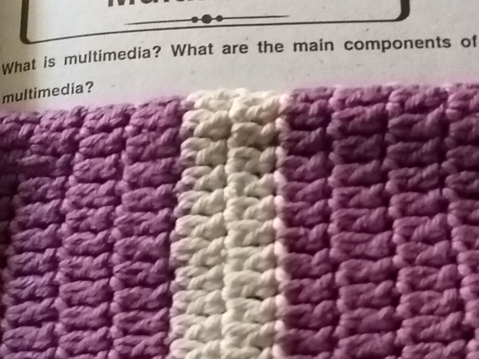 What is multimedia? What are the main | StudyX
