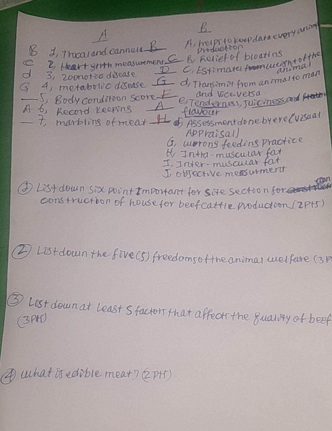 1. List down six points important for site | StudyX