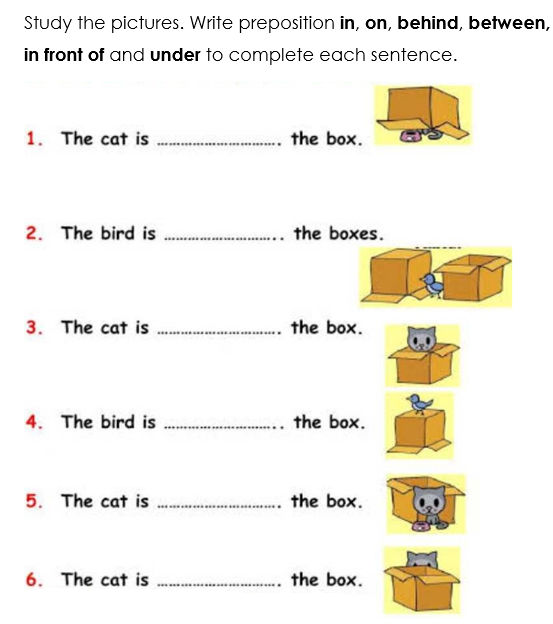 Study the pictures. Write preposition in, | StudyX