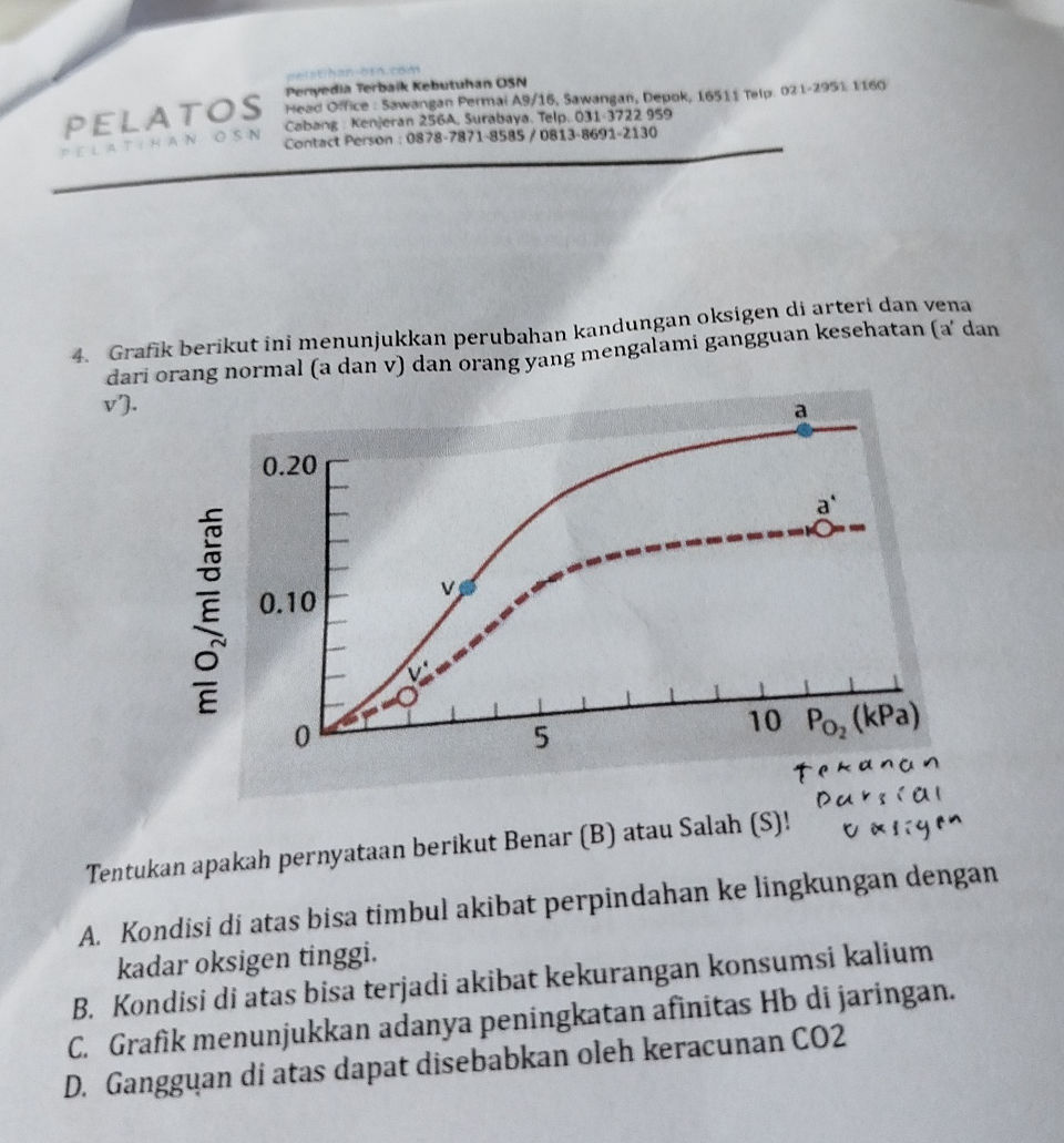 4. Grafik berikut ini menunjukkan perubahan | StudyX