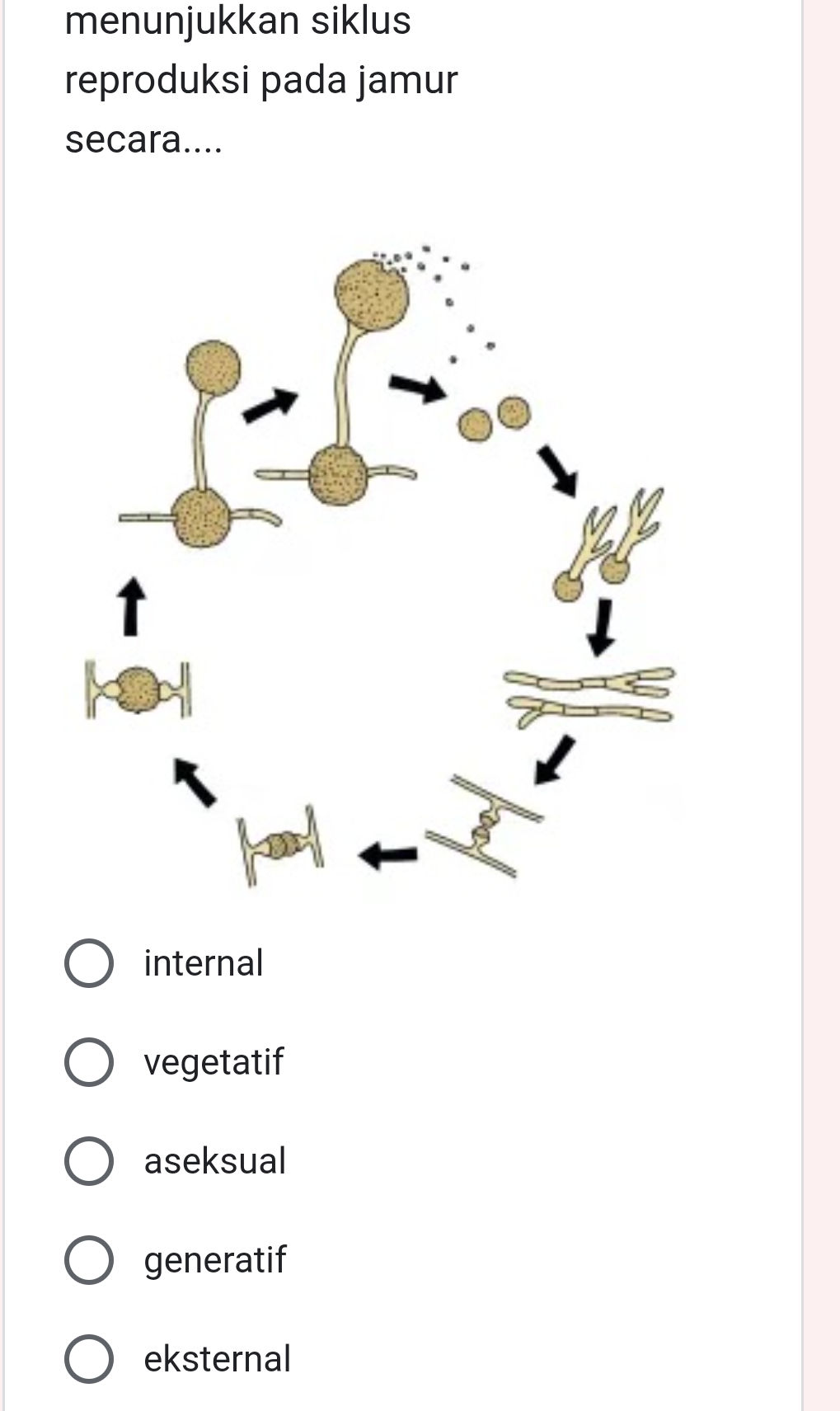 menunjukkan siklus reproduksi pada jamur | StudyX