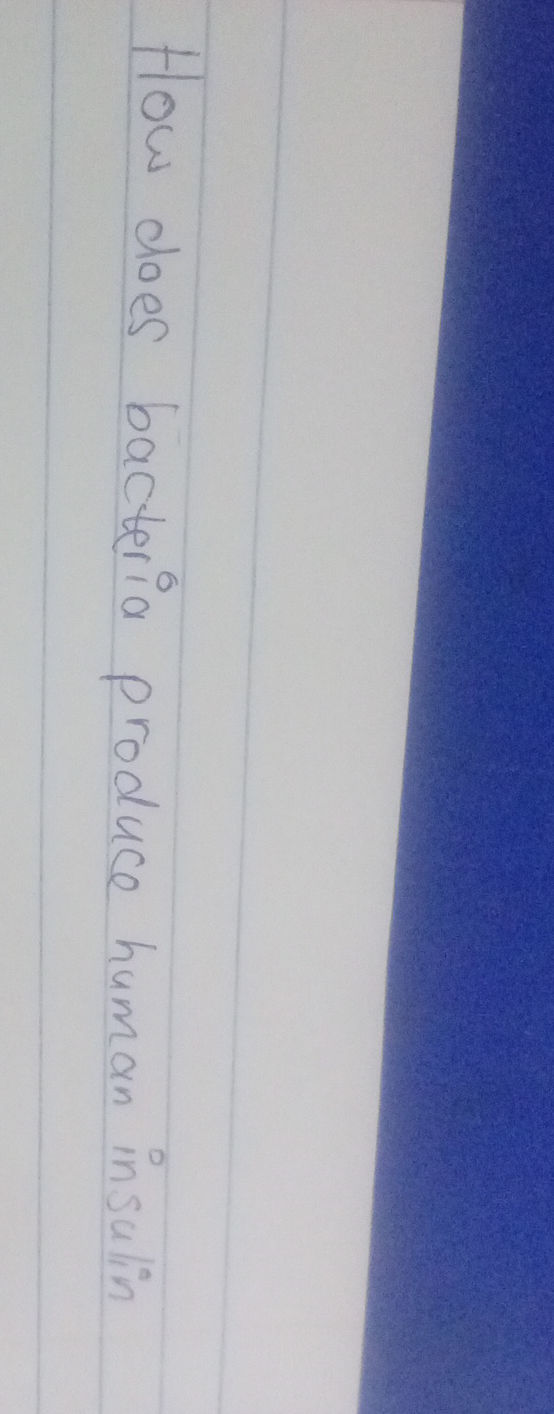 How bacteria produce human insulin | StudyX