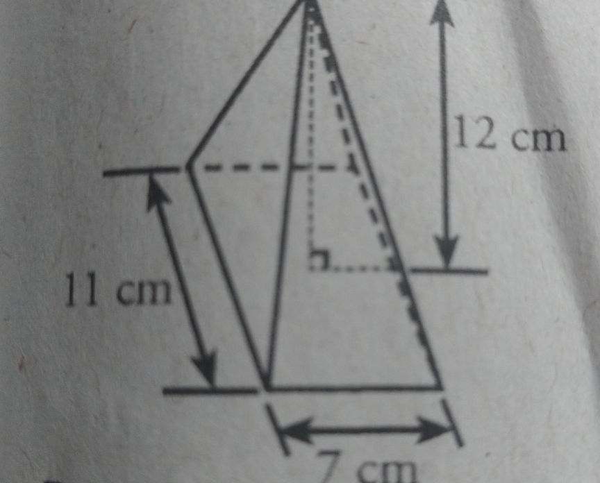 The image shows a pyramid with the following | StudyX
