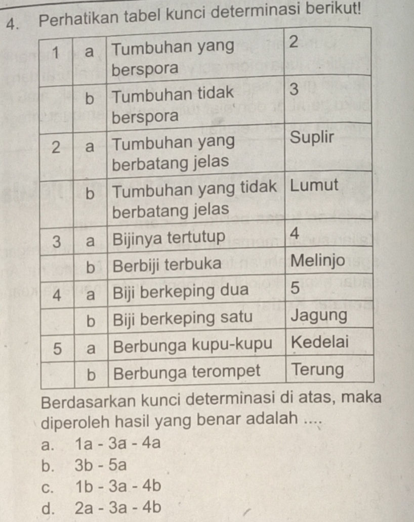 Perhatikan tabel kunci determinasi berikut! | StudyX