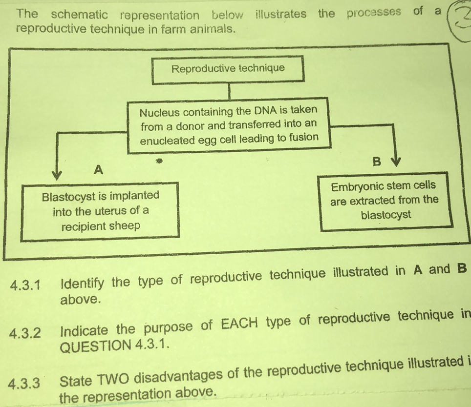 The schematic representation below | StudyX