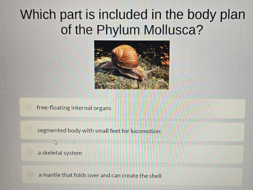 Which part is included in the body plan of | StudyX