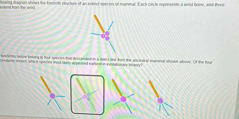 Following diagram shows the forelimb | StudyX
