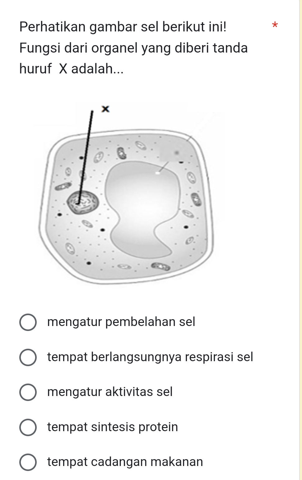 Perhatikan gambar sel berikut ini! Fungsi | StudyX