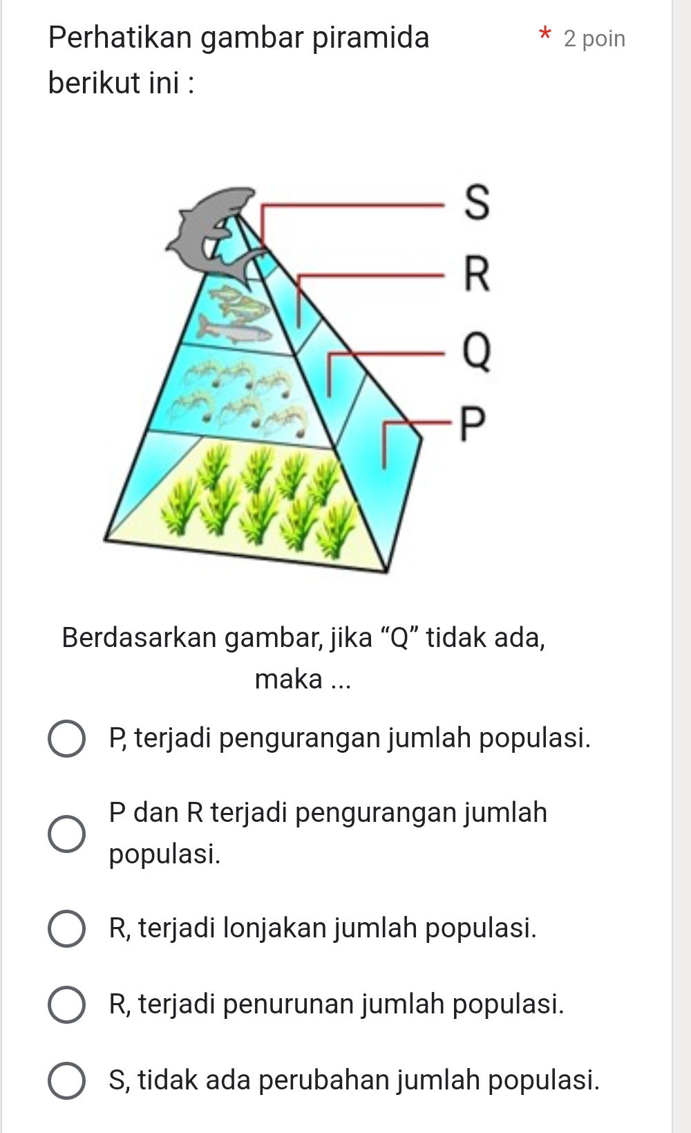 Perhatikan gambar piramida berikut ini : S | StudyX