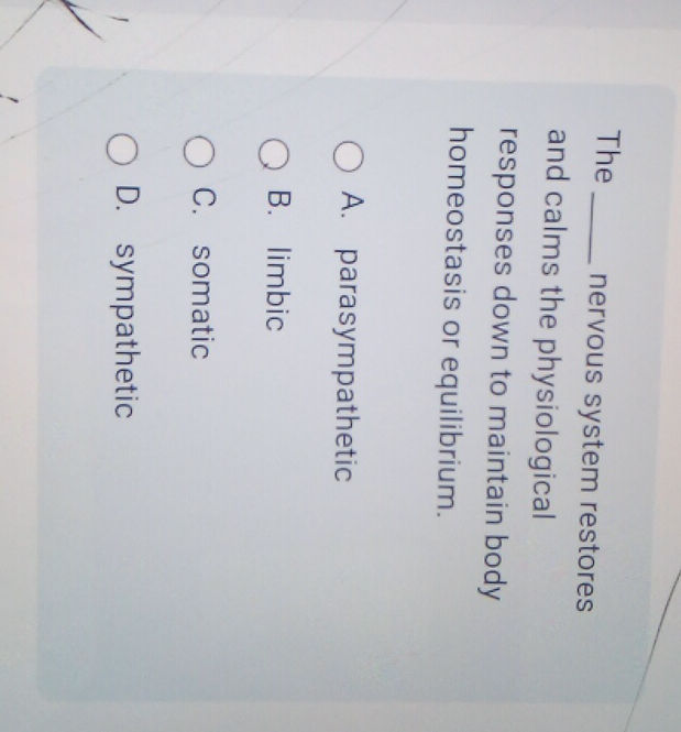 The ____ nervous system restores and calms | StudyX