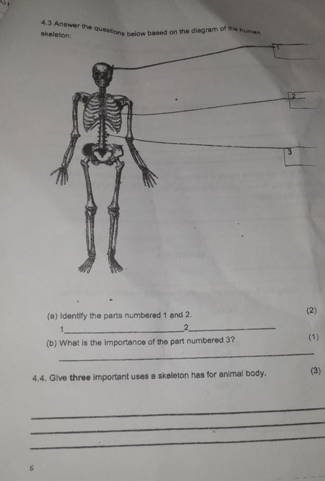 4.3 Answer the questions below based on the | StudyX