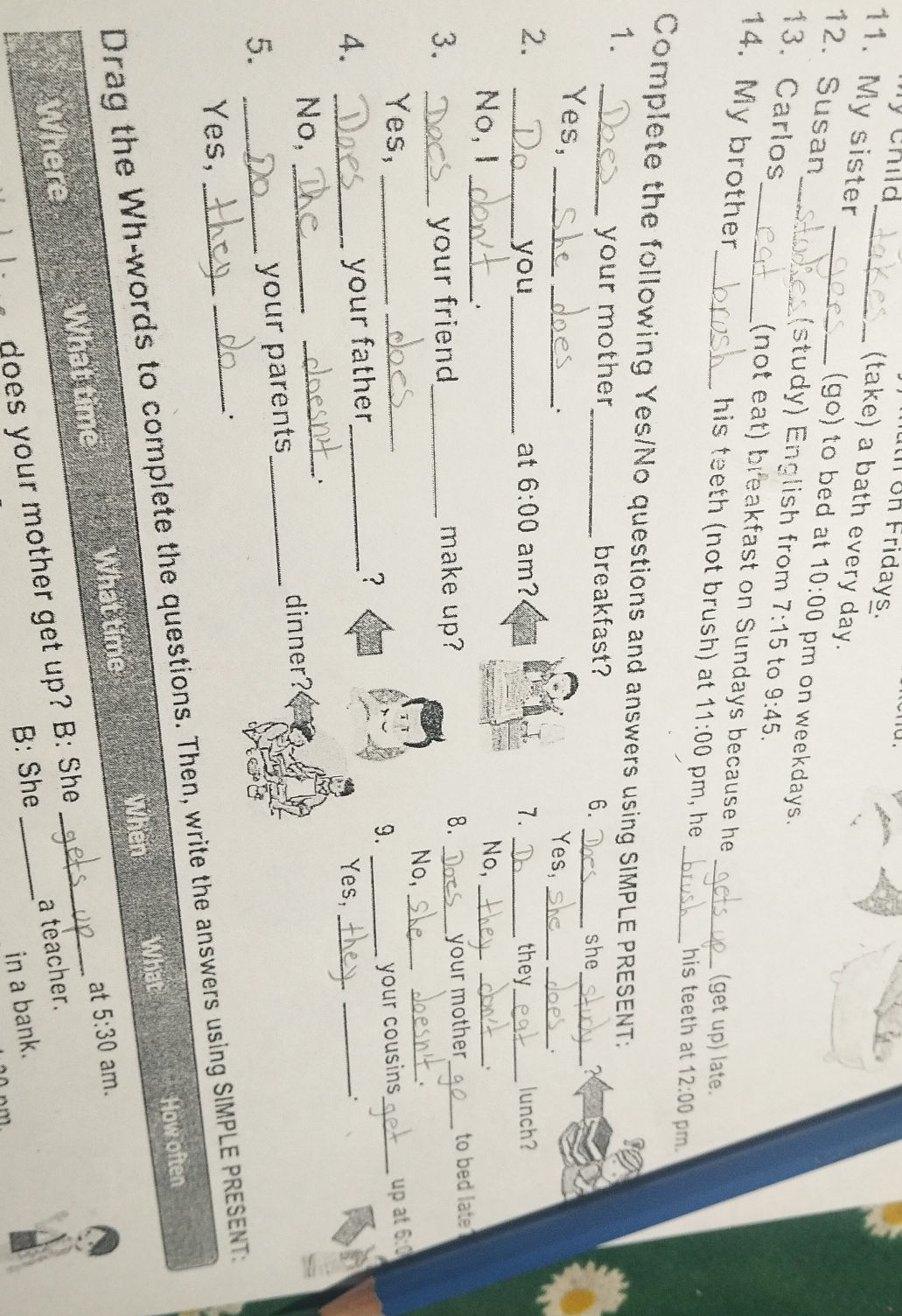 Complete the following Yes/No questions and | StudyX