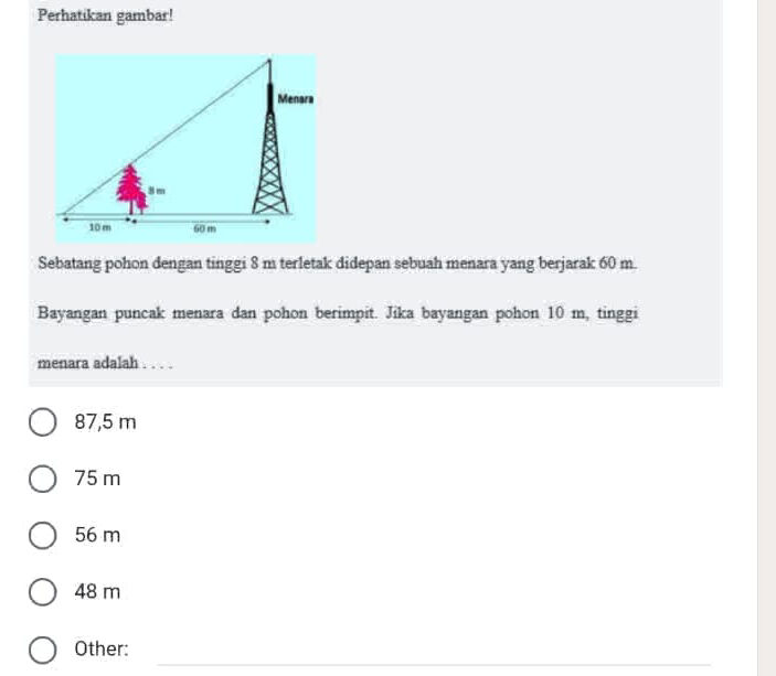 Sebatang pohon dengan tinggi 8 m terletak | StudyX