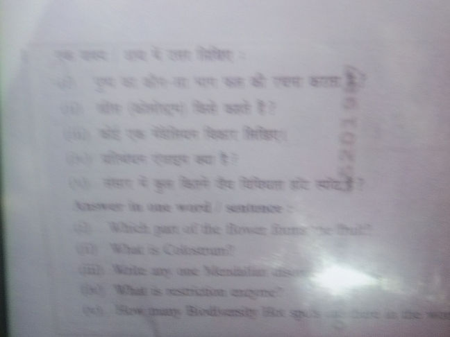 Answer in one word / sentence: (i) Which | StudyX