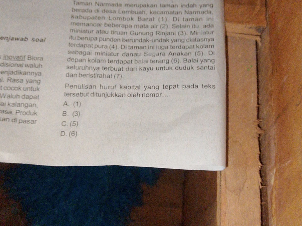 Penulisan huruf kapital yang tepat pada teks | StudyX