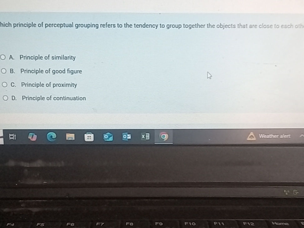 Which principle of perceptual grouping | StudyX
