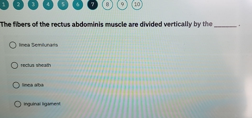 The fibers of the rectus abdominis muscle | StudyX
