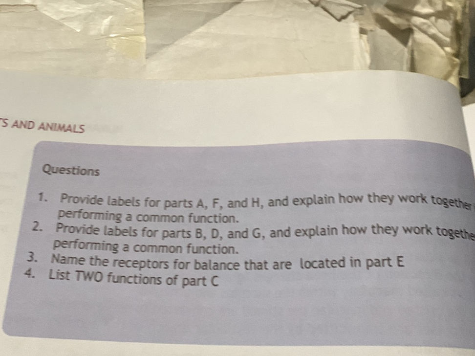 1. Provide labels for parts A, F, and H, and | StudyX