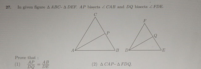 In given figure $ ABC DEF$. AP bisects