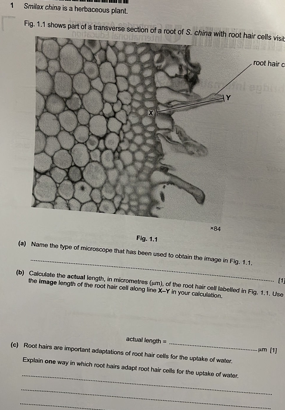 Fig. 1.1 shows part of a transverse section | StudyX
