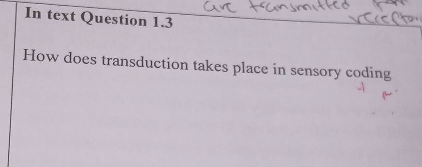 How does transduction takes place in sensory | StudyX