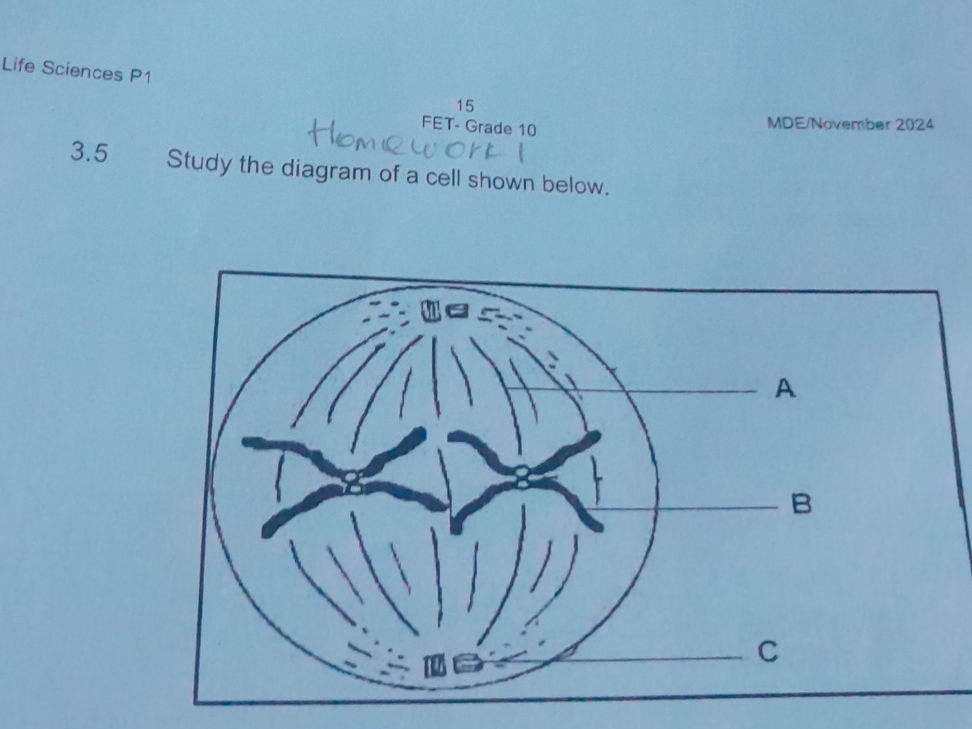 Study the diagram of a cell shown below. XX | StudyX