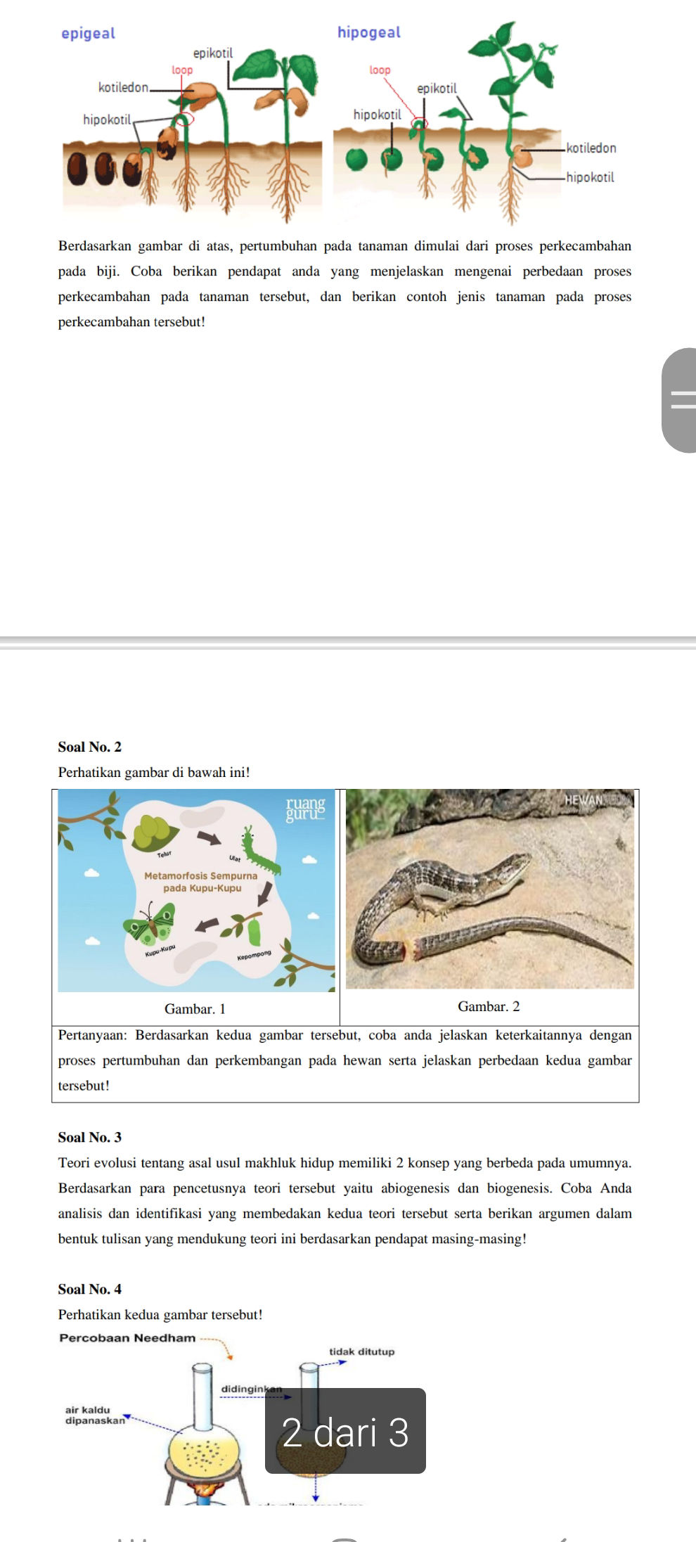 Berdasarkan gambar di atas, pertumbuhan pada | StudyX