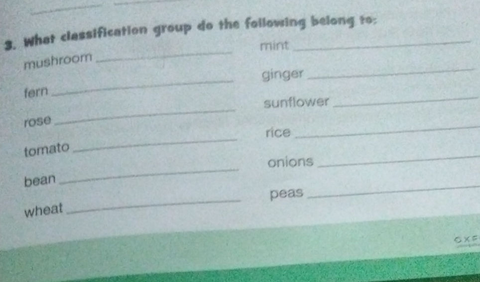 3. What classification group do the | StudyX