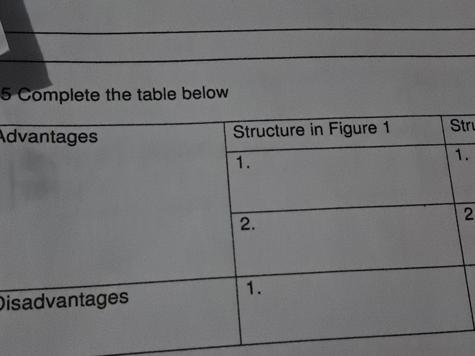 5 Complete the table below | Advantages | | StudyX