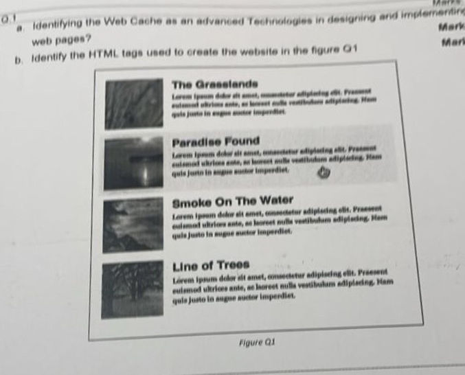 a. Identifying the Web Cache as an advanced | StudyX
