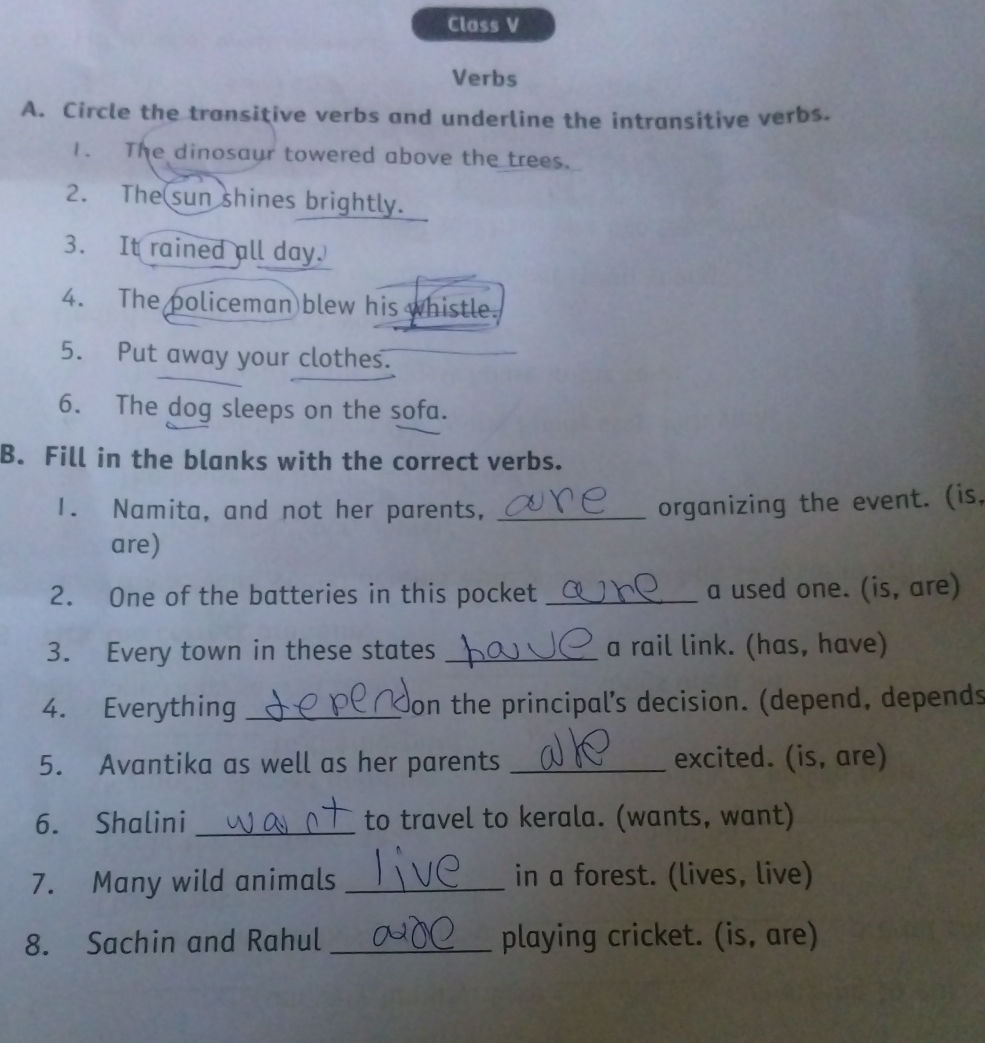 A. Circle the transitive verbs and underline | StudyX