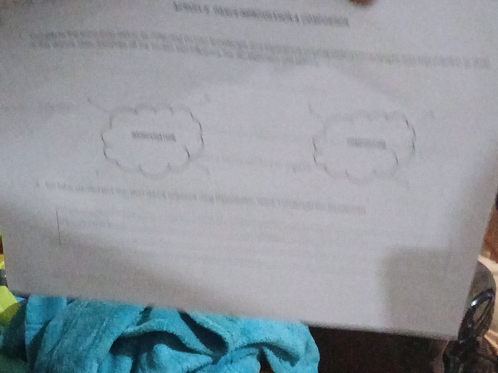 The image contains a mind map with two cloud | StudyX