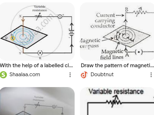 With the help of a labelled ci... Draw the | StudyX