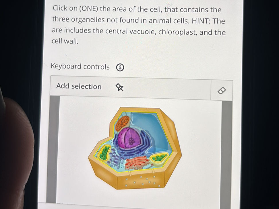 Click on (ONE) the area of the cell, that | StudyX