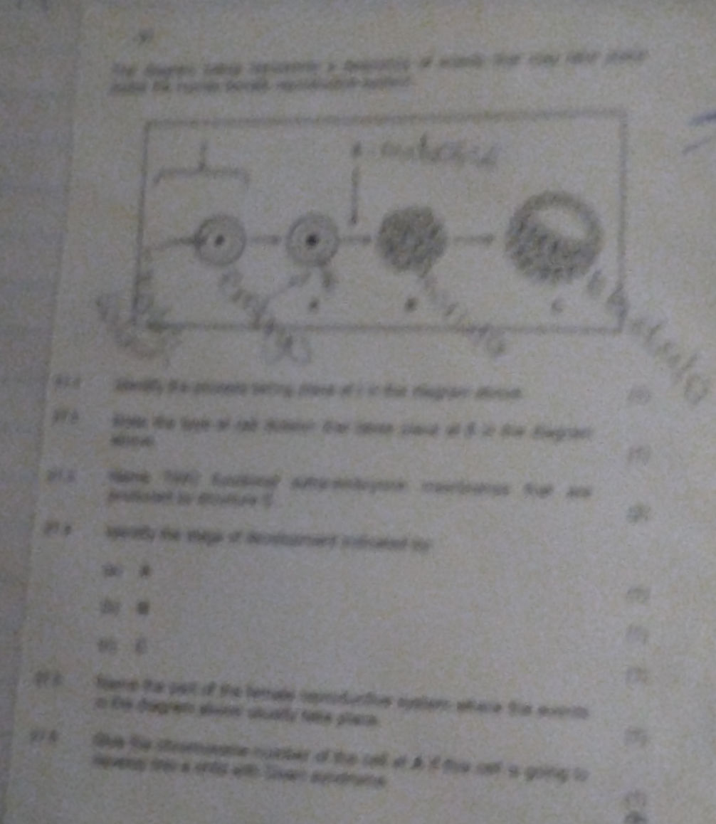 The diagram below represents a sequence of | StudyX