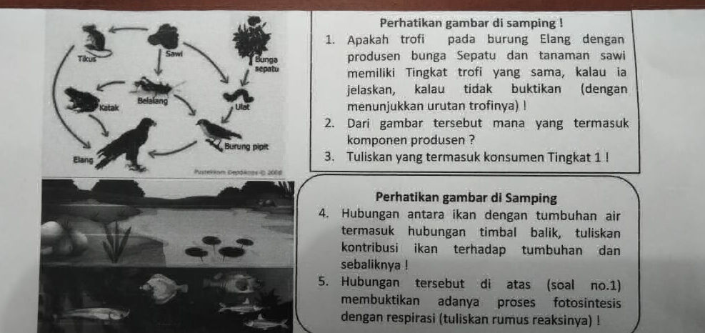 Perhatikan gambar di samping! 1. Apakah | StudyX