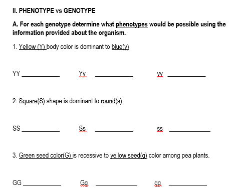 II. PHENOTYPE vs GENOTYPE A. For each | StudyX