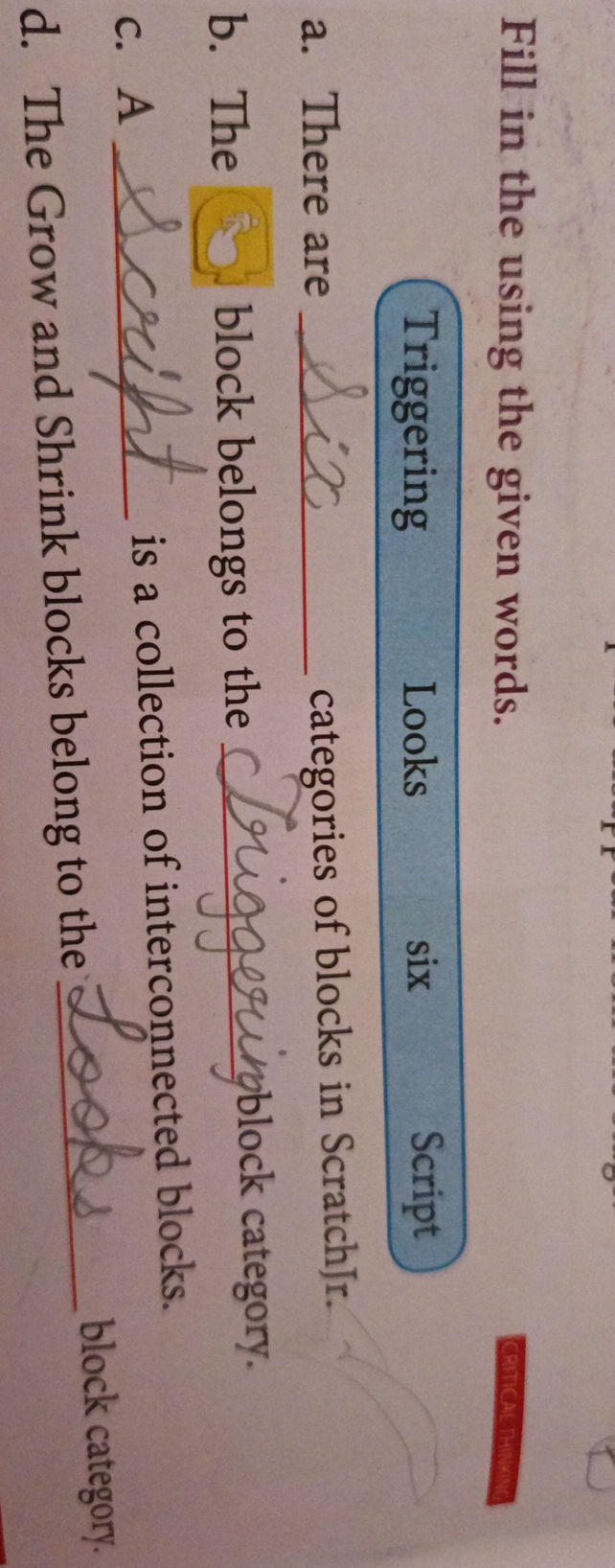 Fill in the using the given words. | StudyX