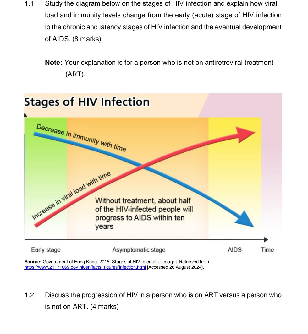 1.1 Study the diagram below on the stages of | StudyX