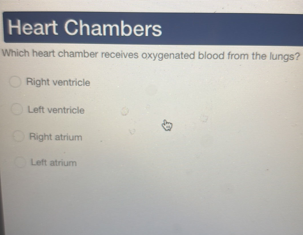 Which heart chamber receives oxygenated | StudyX
