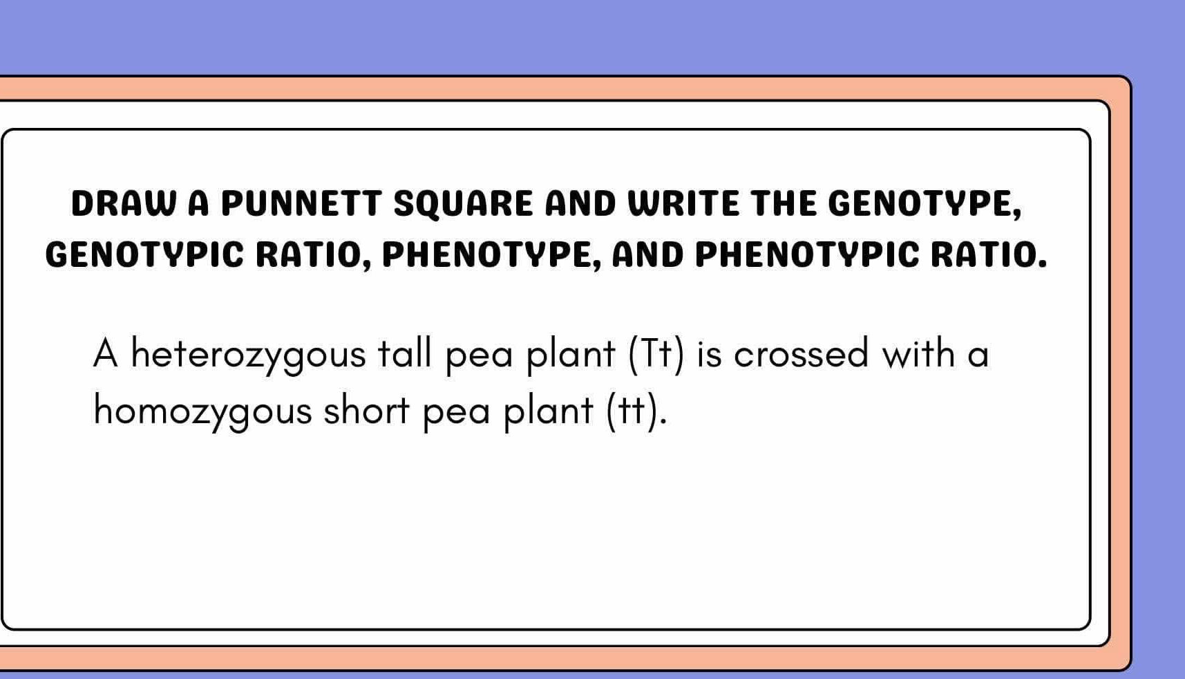 DRAW A PUNNETT SQUARE AND WRITE THE | StudyX